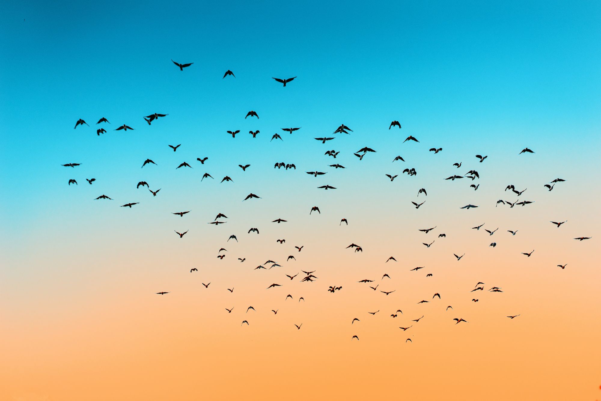 Breeze – Wordman of Alcatraz